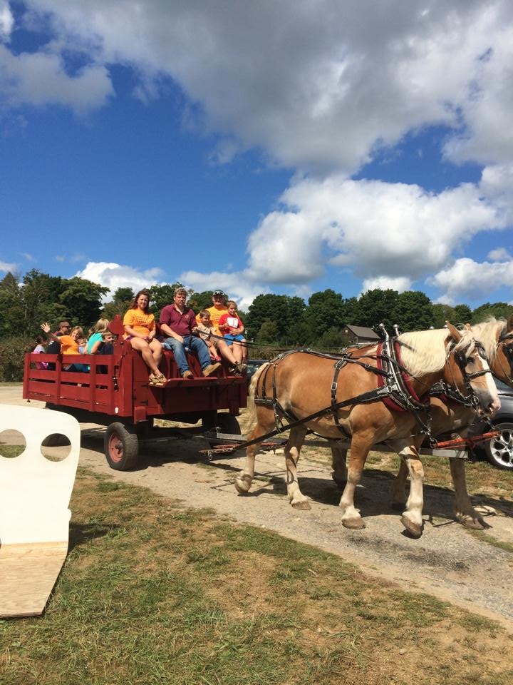 Scottsyankeefarmer.net – From Our Field To Your Table!