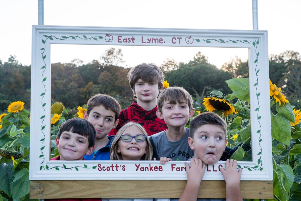 Scottsyankeefarmer.net – From Our Field To Your Table!